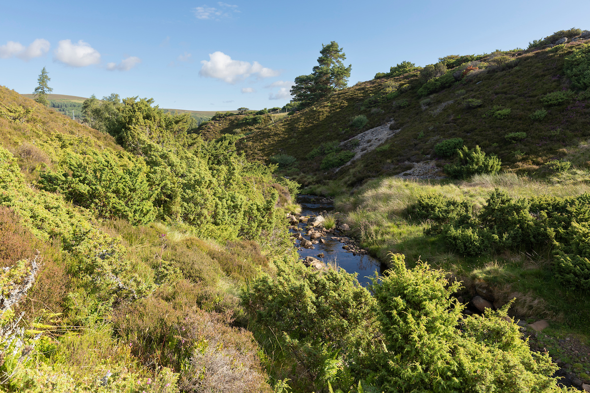 Lossie District Salmon Fishery Board - Findhorn, Nairn and Lossie ...